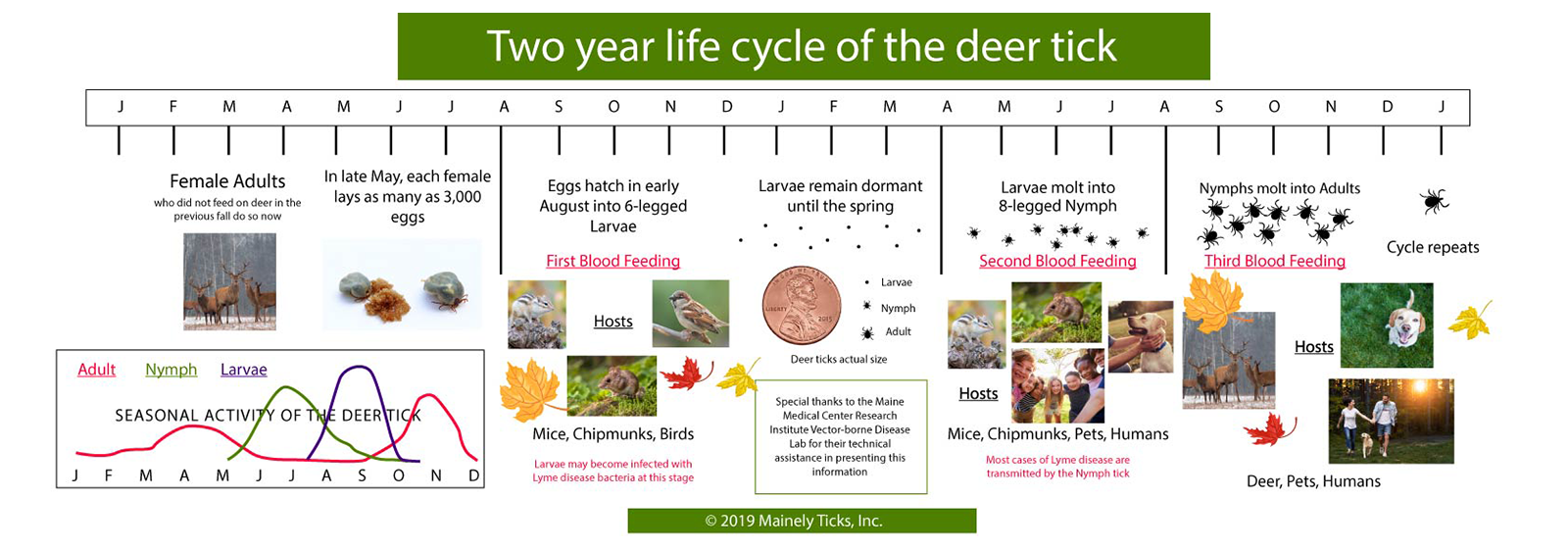 Tick Education & Science - Mainely Ticks