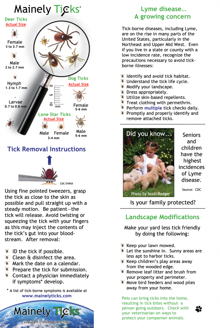 Order - Mainely Ticks