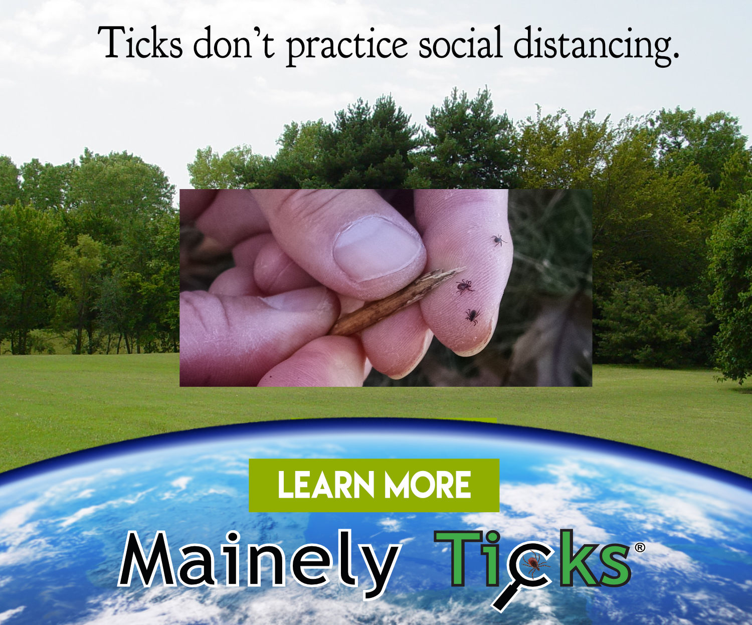 Stop Deer Ticks & Avoid Lyme Disease with Tick & Mosquito Control
