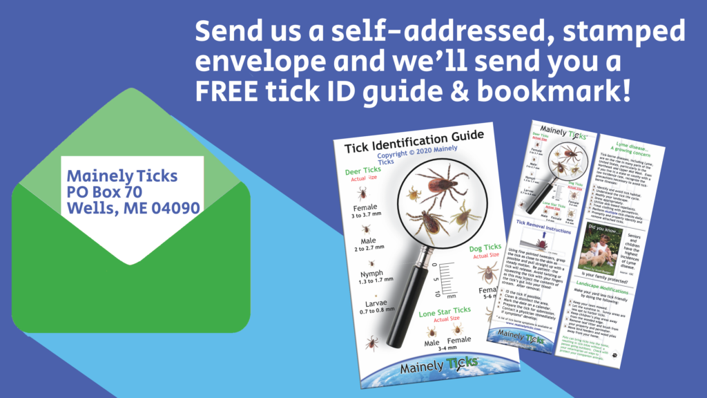 Tick Guide & Bookmark Slide - Mainely Ticks