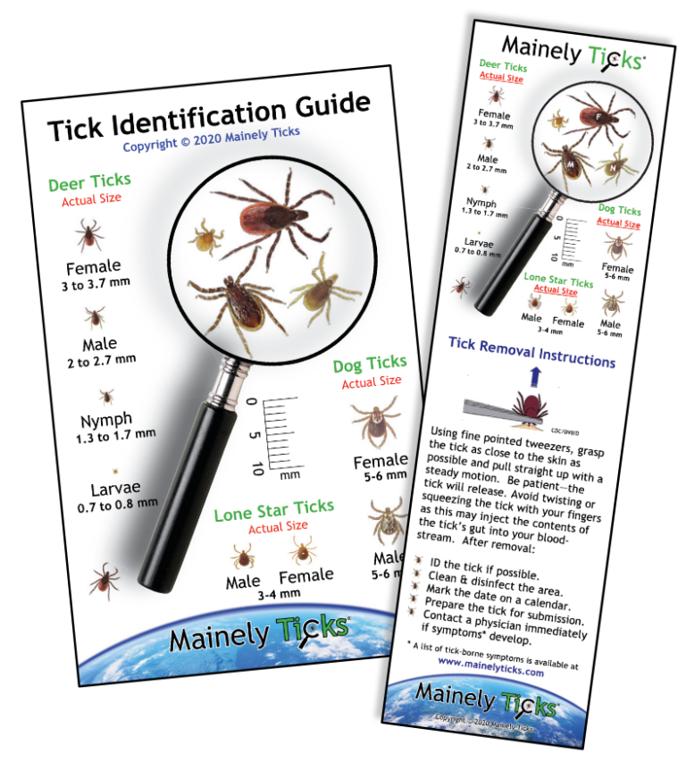 Home - Mainely Ticks